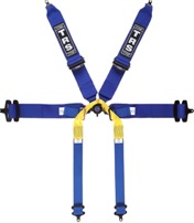 Multi-Point Harness - Manufacturer of Racing Harnesses